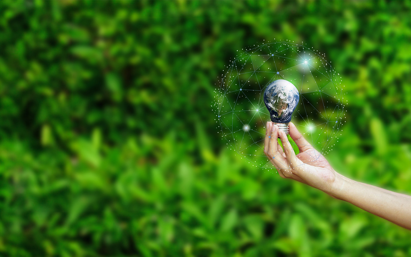 Sustainable development at ANOVO | United Nations Global Compact
